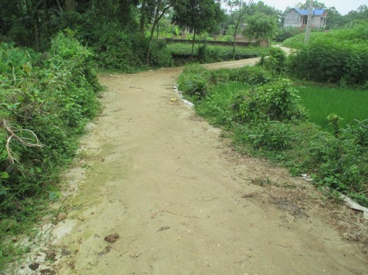 Our village road
